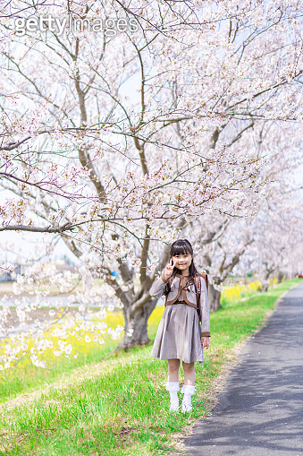 Girl posing for a peace pose under a cherry tree 이미지 (1399334981) - 게티이미지뱅크