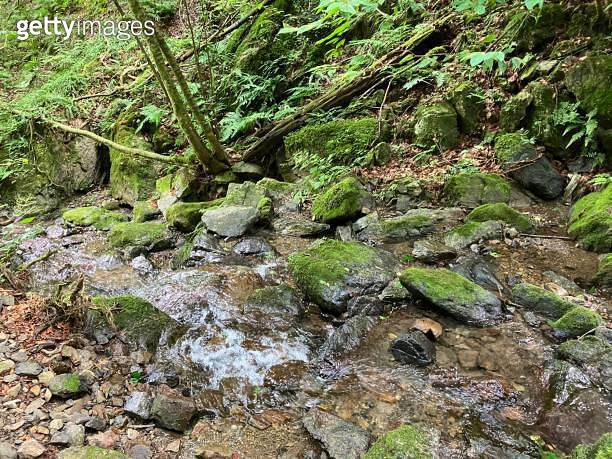 Mountain stream trail hiking at Mt. Bounoore in Saitama, JAPAN. The ...