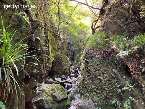 Mountain stream trail hiking at Mt. Bounoore in Saitama, JAPAN. The ...