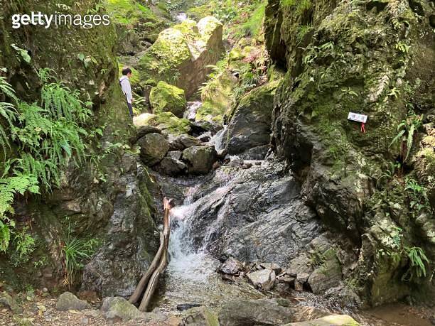 Mountain stream trail hiking at Mt. Bounoore in Saitama, JAPAN. The ...