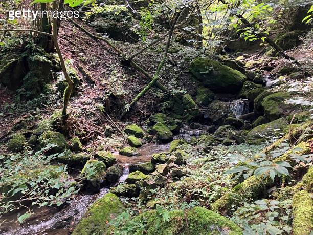 Mountain stream trail hiking at Mt. Bounoore in Saitama, JAPAN. The ...