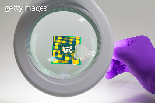 Hand in purple glove holding microchip with pair of tweezers under ...