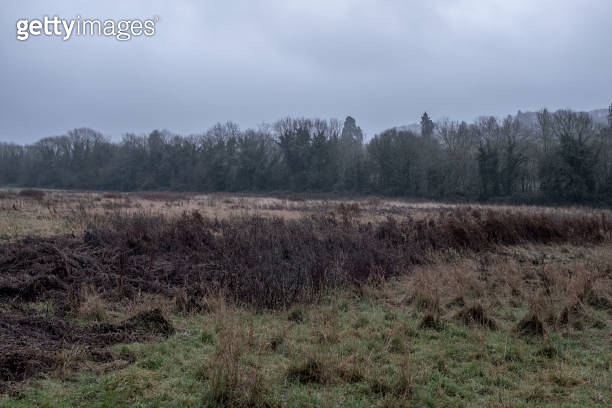 Morning Mist Over A Marsh Landscape 이미지 (1362515065) - 게티이미지뱅크