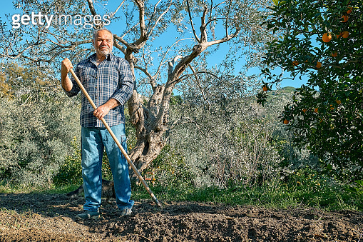 Gardener prepare the soil for spring planting. Man makes the furrows ...