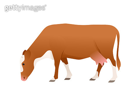 Dairy cattle simmental cow spotted domestic mammal animal cartoon ...