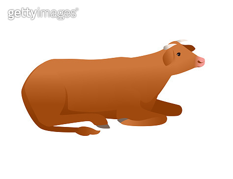 Dairy cattle simmental cow spotted domestic mammal animal cartoon ...