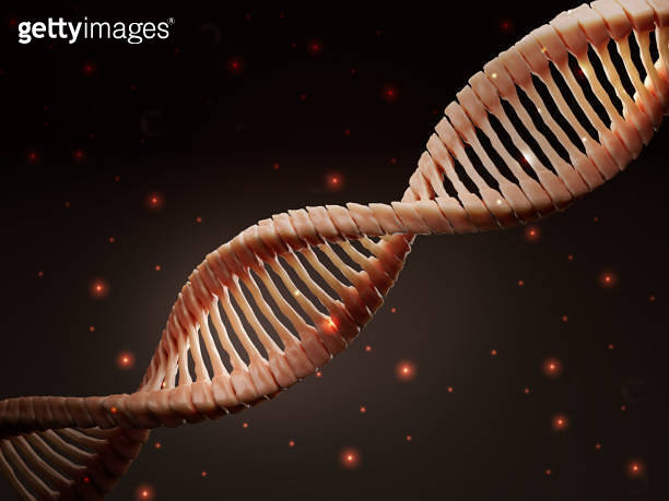 Realistic abstract DNA structure concept,molecule helix spiral,science ...