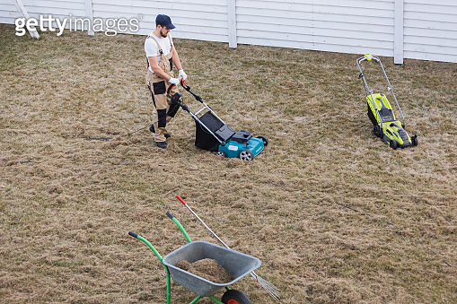Scarifying lawn with scarifier, Man gardener scarifies the lawn and ...