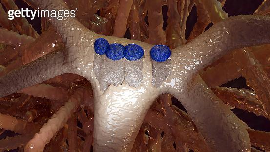 3d illustration of Osteoblaste, medically accurate, Bone modeling and ...