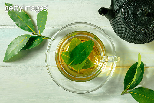 Bay leaf tea. Fresh laurel leaves infusion with a cup and a teapot ...