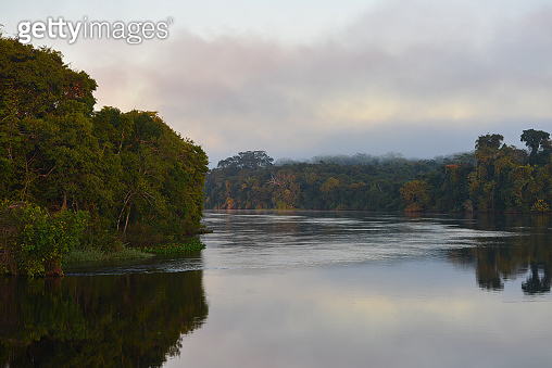 A misty morning on a rainforest-lined bend of the Guaporé-Itenez river ...