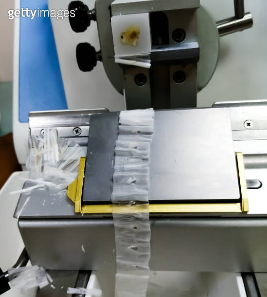 Tissue cutting machine or Manual Rotary Microtome isolated with ...