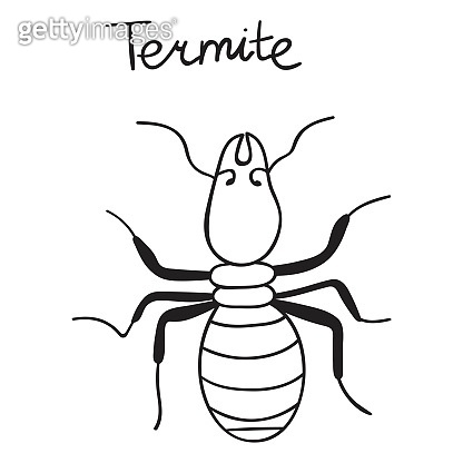 Termite. Outline icon. Nature. Insects. (1438589983) - 게티이미지뱅크