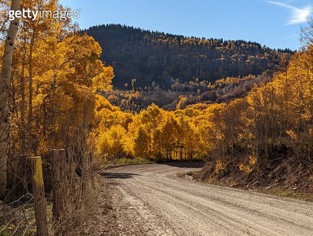 Country road through golden aspen in autumn above Kolob Reservoir near ...