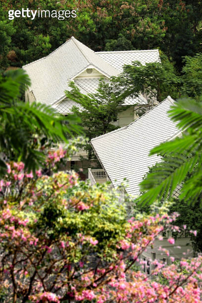 High angle view white rooftop of residential buildings 이미지 (1448602056 ...