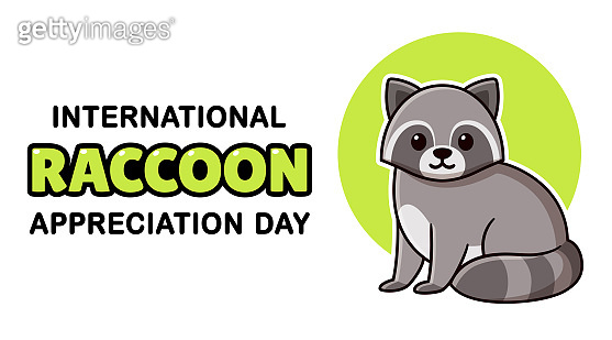International Raccoon Appreciation Day 이미지 (1450087509) - 게티이미지뱅크