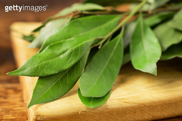 Bay leaves on a branch. Macro. Light wooden background. 이미지 (1368434219 ...