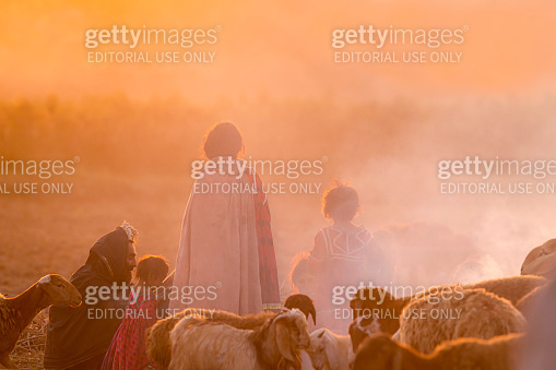 nomadic life of shepherds , sheep herds and shepherds in Pakistan 이미지 ...