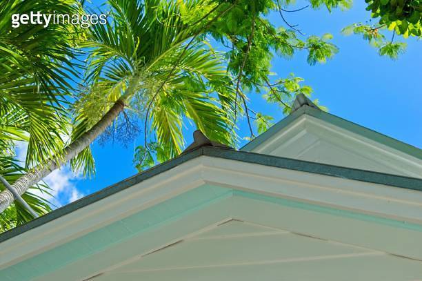 Roofline on Key West style architecture with lush green Palms leaning ...