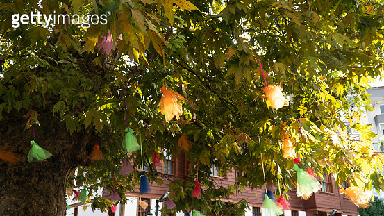 Wish tree with colorful ribbons. Wishing tree for superstitious ...