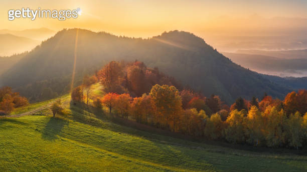 Beautiful autumn landscape with colorful trees, grassy meadows and ...