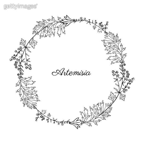 Round frame line art with Artemisia vulgaris wreath common wormwood ...