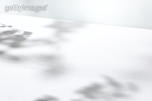 Light background with harsh shadows of tree branch. Aesthetic white ...