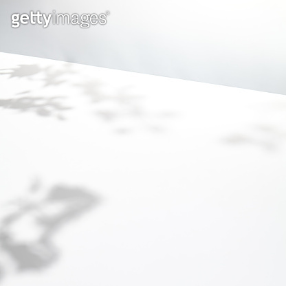 Light background with harsh shadows of tree branch. Aesthetic white ...