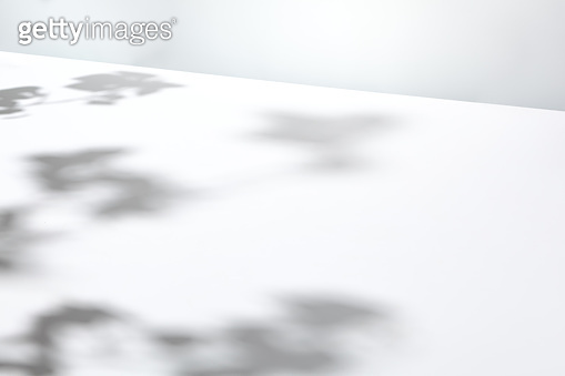 Light background with harsh shadows of tree branch. Aesthetic white ...
