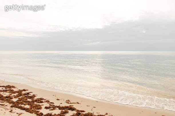 The Sandy Beach Shore During a Golden Sunrise on Palm Beach, Florida in ...