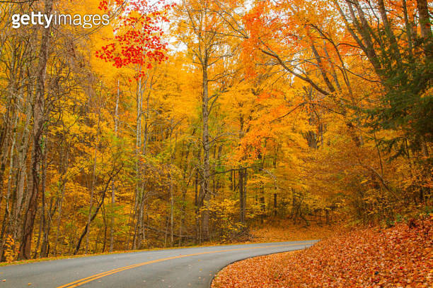 Colorful Autumn Trees Surrounding an Open Rural Road in Tennessee ...