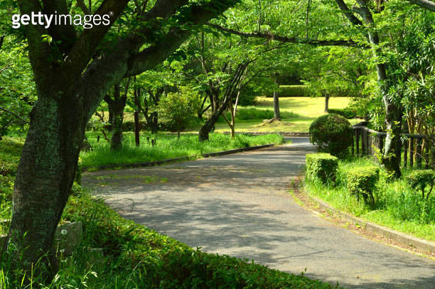 A park without people in the morning, a walking path surrounded by ...