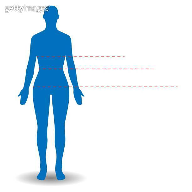Human body measurement chart 이미지 (1405282854) - 게티이미지뱅크