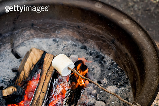 Roasting large marshmallow on a stick over the campfire firepit ...