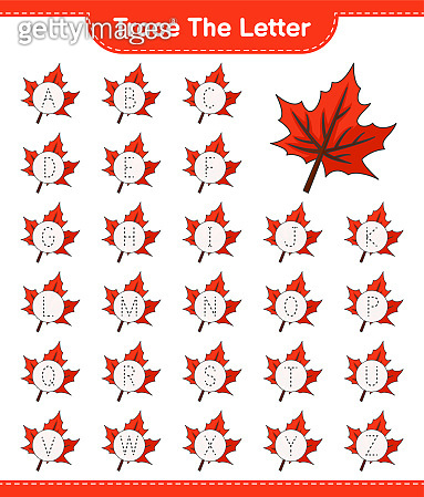 Trace the letter. Tracing letter alphabet with Maple Leaf. Educational ...