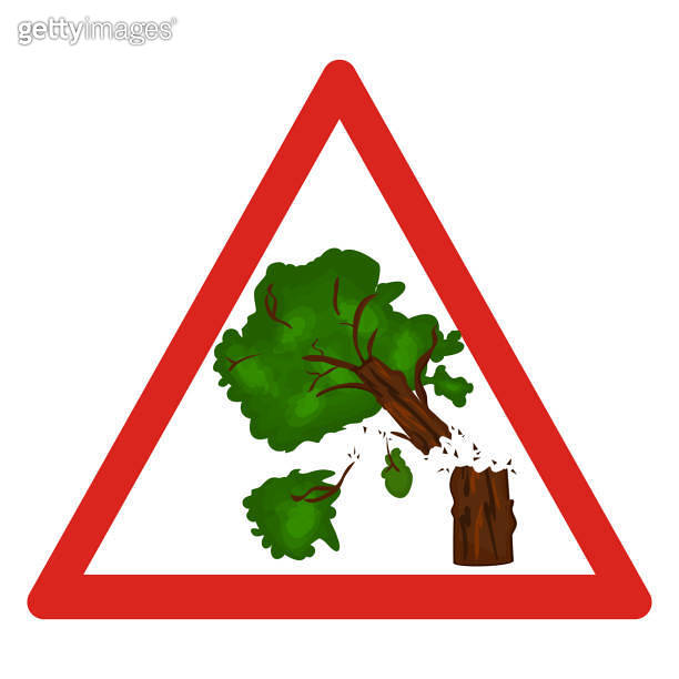 Broken tree road sign isolated on white background. Be careful, broken ...