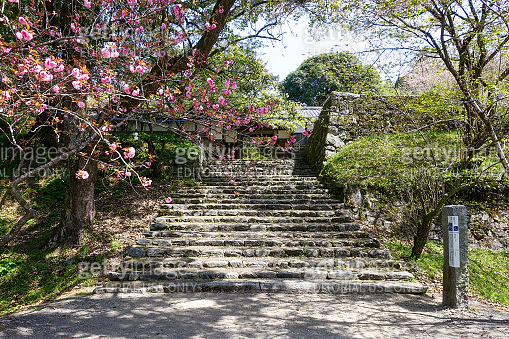 Akizuki Castle Nagayamon (Asakura City, Fukuoka Prefecture) in "Akizuki ...