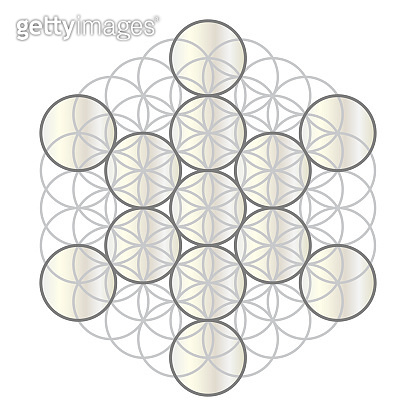Fruit of Life, Fruit of Life placed on Sacred Geometry Flower of Life ...