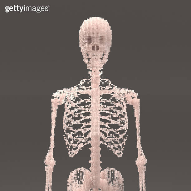 Digital anatomy 이미지 (1447346246) - 게티이미지뱅크