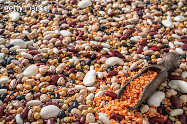 Legumes colorful mixed with serving scoop of red lentils and beans ...