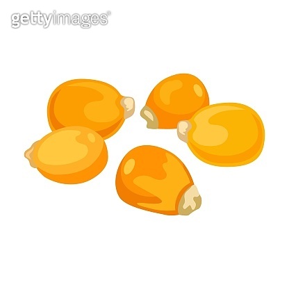 Corn plant seeds cartoon illustration. Cereal grains, chickpeas ...