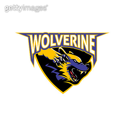 Wolverine insignia yellow and blue version vector illustration 이미지 ...