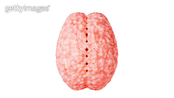 Human brain, top view. Medical illustration. 3D Render. Brain anatomy ...