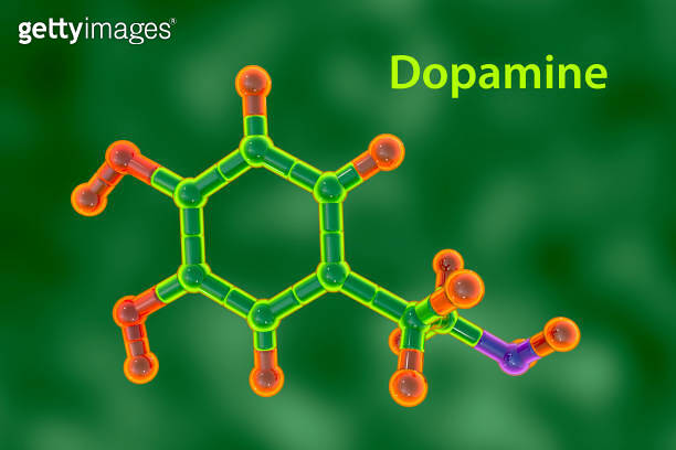 Dopamine molecule, 3D illustration (1372129210) 일러스트, 무료 일러스트 - 게티이미지뱅크