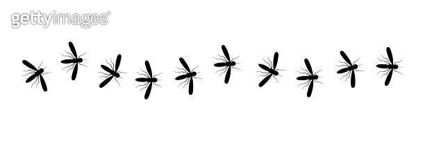 Line of flying mosquitoes insects. 이미지 (1397899105) - 게티이미지뱅크