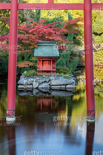 Red Pagoda Surrounded By Torii Gate in Japanese Garden Pond in Point ...