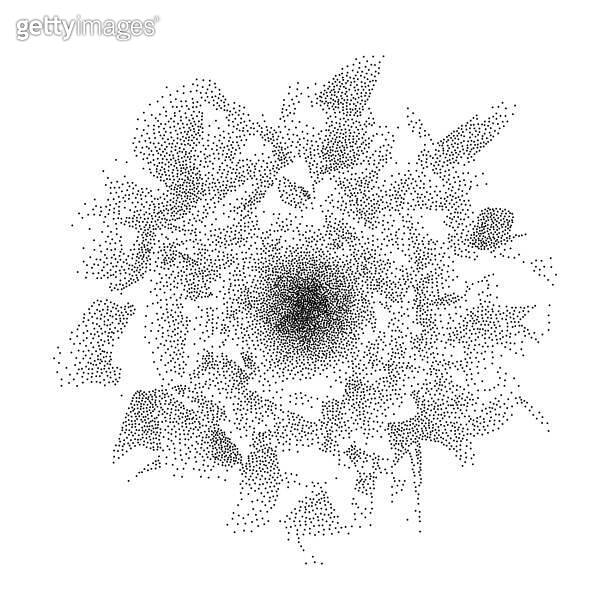 Black dotted rose flower form. Textured plant petal element for leaflet ...