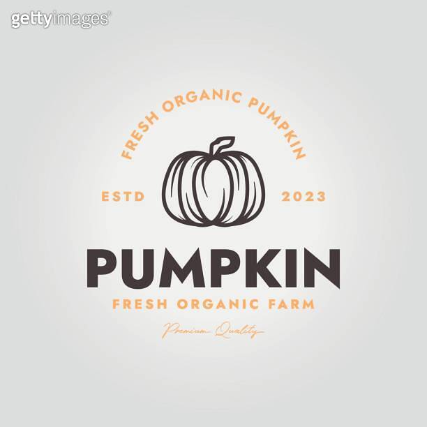 vintage line art pumpkins logo icon, typography and illustration of ...