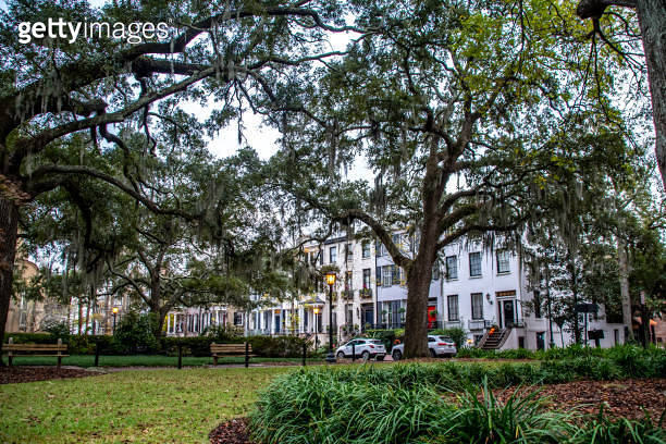 Historic period home, lush landscape, in Savannah's Landmark Historic ...