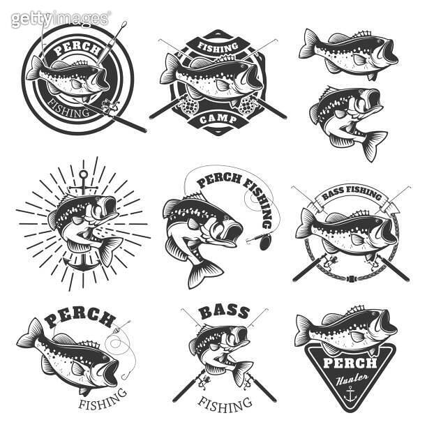 Bass fishing labels. Perch fish. Emblems templates for fishing club ...